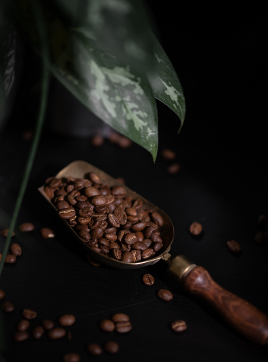 Landing practice(coffee)